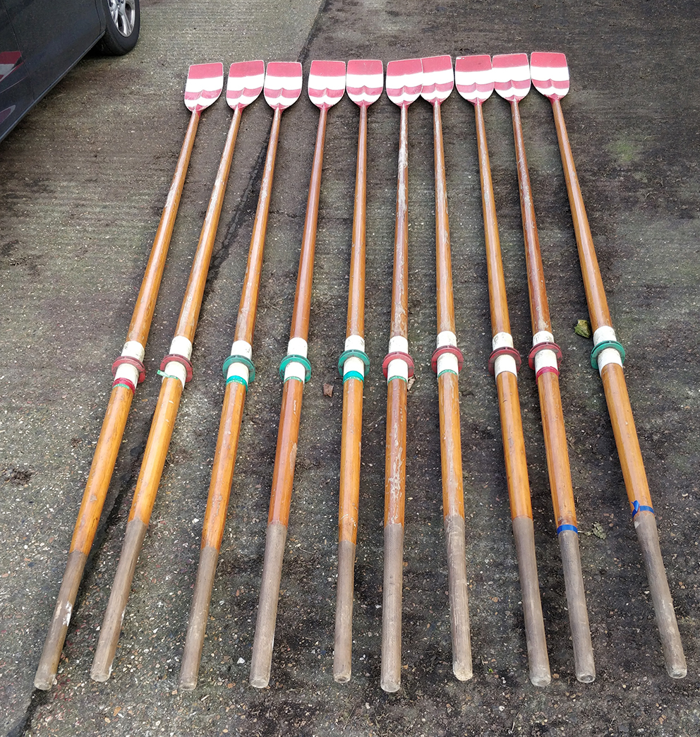 Oars_set_smal | Trophy Oars